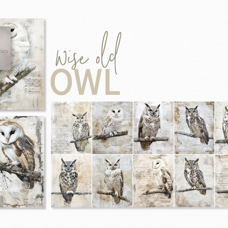 Wise Owl Clip Art - Etsy