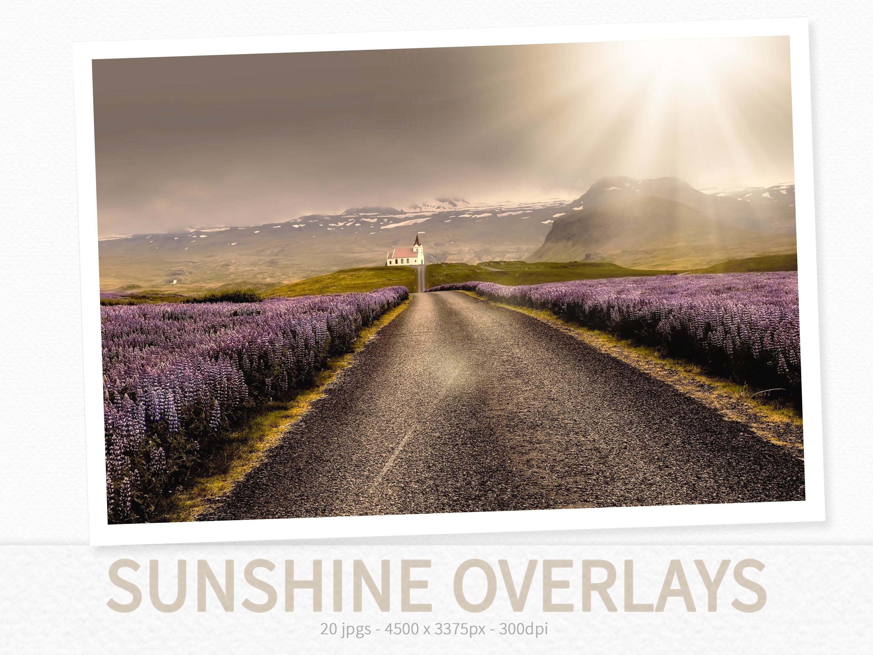Sunshine Overlays Sunlight Overlays Sun Flares Light - Etsy