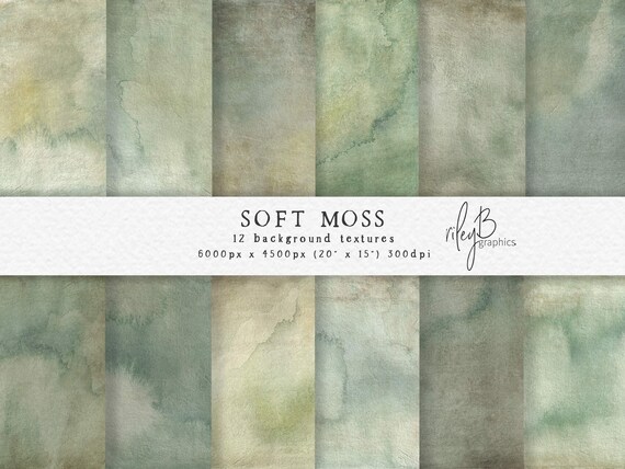 Soft Moss Textures Moss Green Backgrounds Fine Art - Etsy