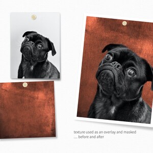 Rust Colors in Nature - Rust Digitals - Rust Textures - Rust ...
