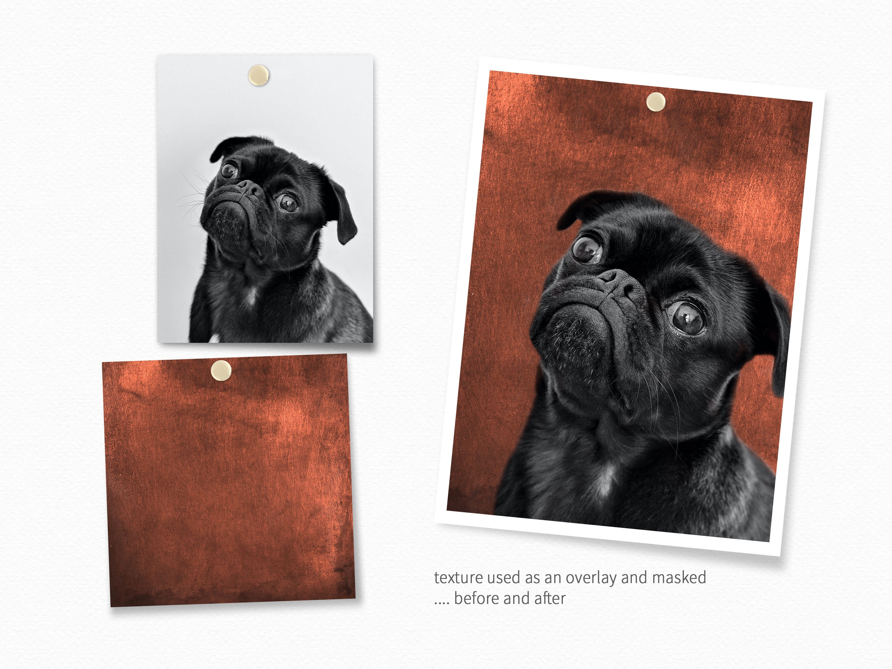 Rust Colors in Nature Rust Digitals Rust Textures Rust - Etsy