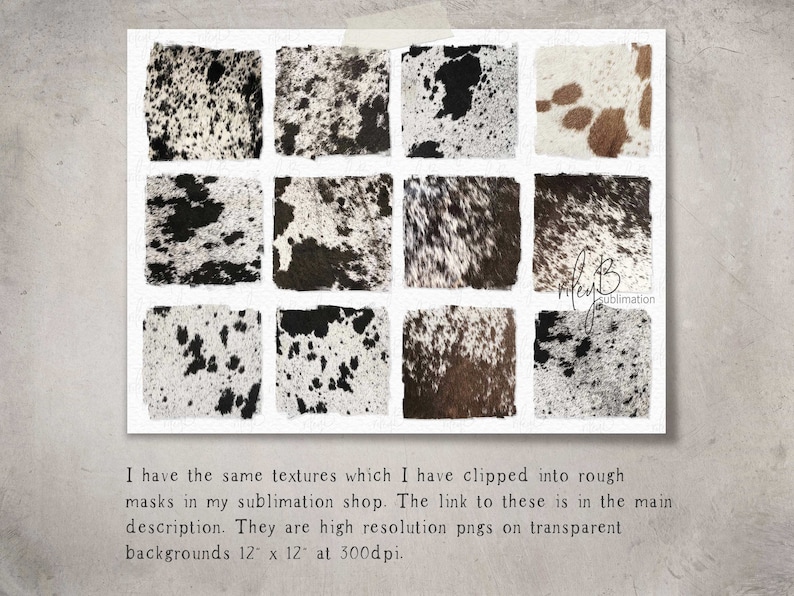 Nguni Hide Textures I - Cowhide Backgrounds - Brown and White Cowhide ...
