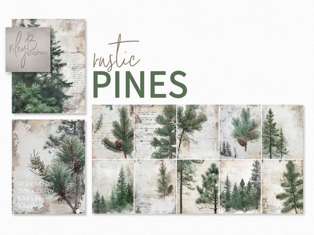 Rustic Pines Paintings Pine Branch Junk Journal Collages Pine Texture ...