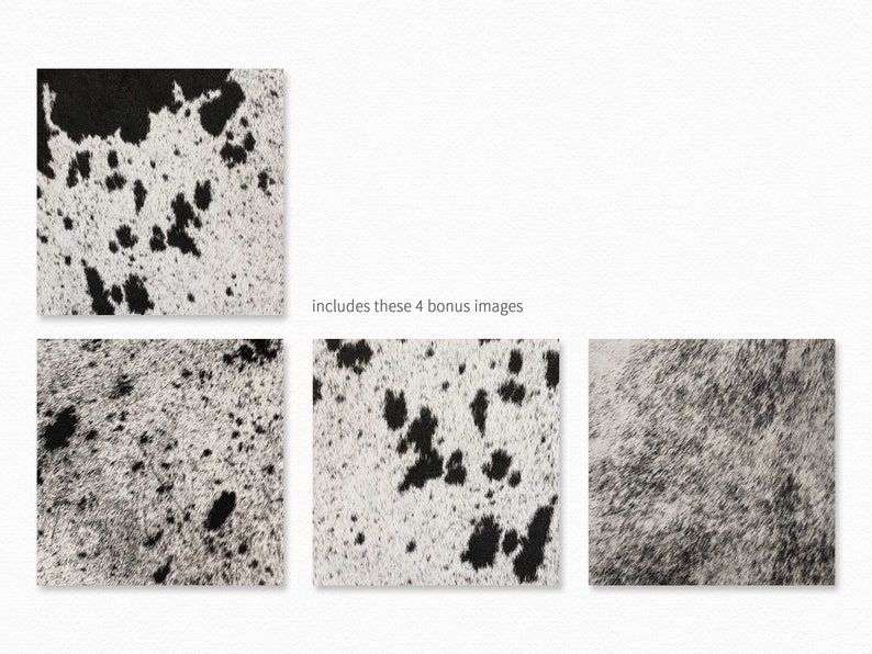 Nguni Hide Textures I - Cowhide Backgrounds - Brown and White Cowhide ...