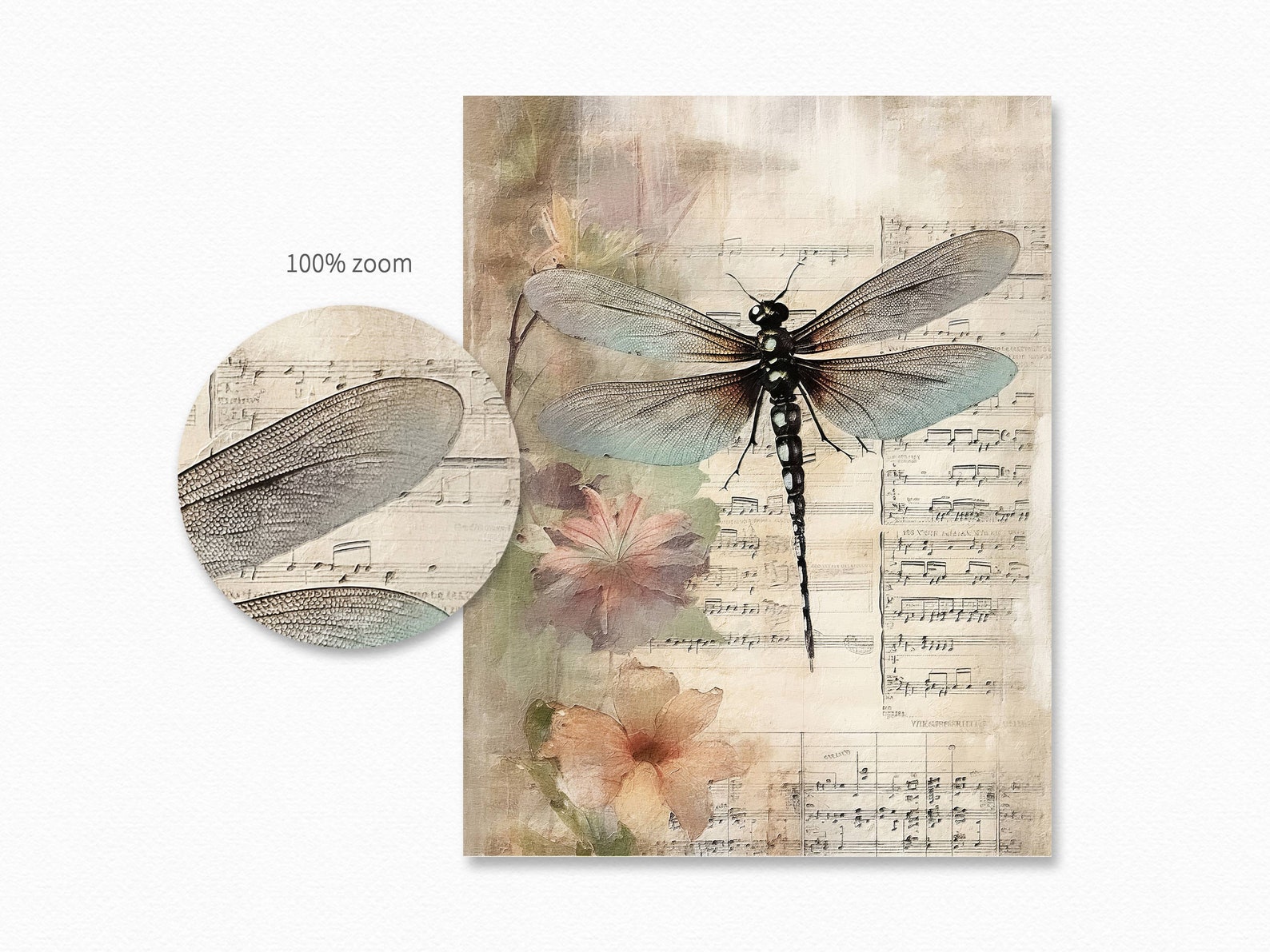 Musical Dragonflies – Botanical Insect Illustrations – Vintage Sheet ...