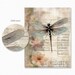Musical Dragonflies – Botanical Insect Illustrations – Vintage Sheet ...