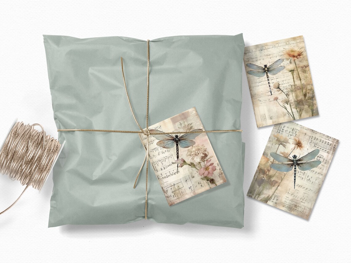 Musical Dragonflies – Botanical Insect Illustrations – Vintage Sheet ...