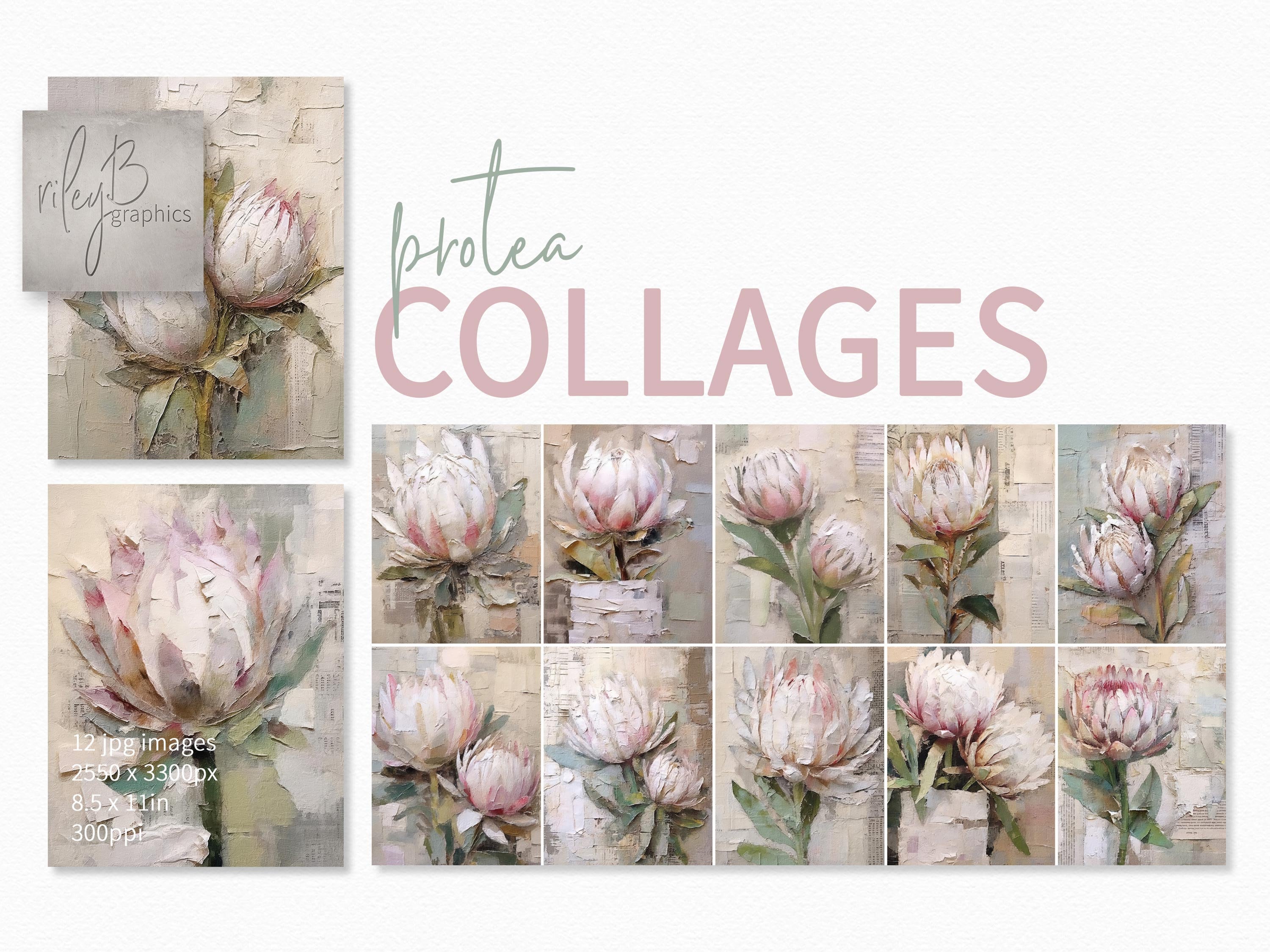 Protea Collages – Textured Botanical Panels – Neutral Wall Layers With ...