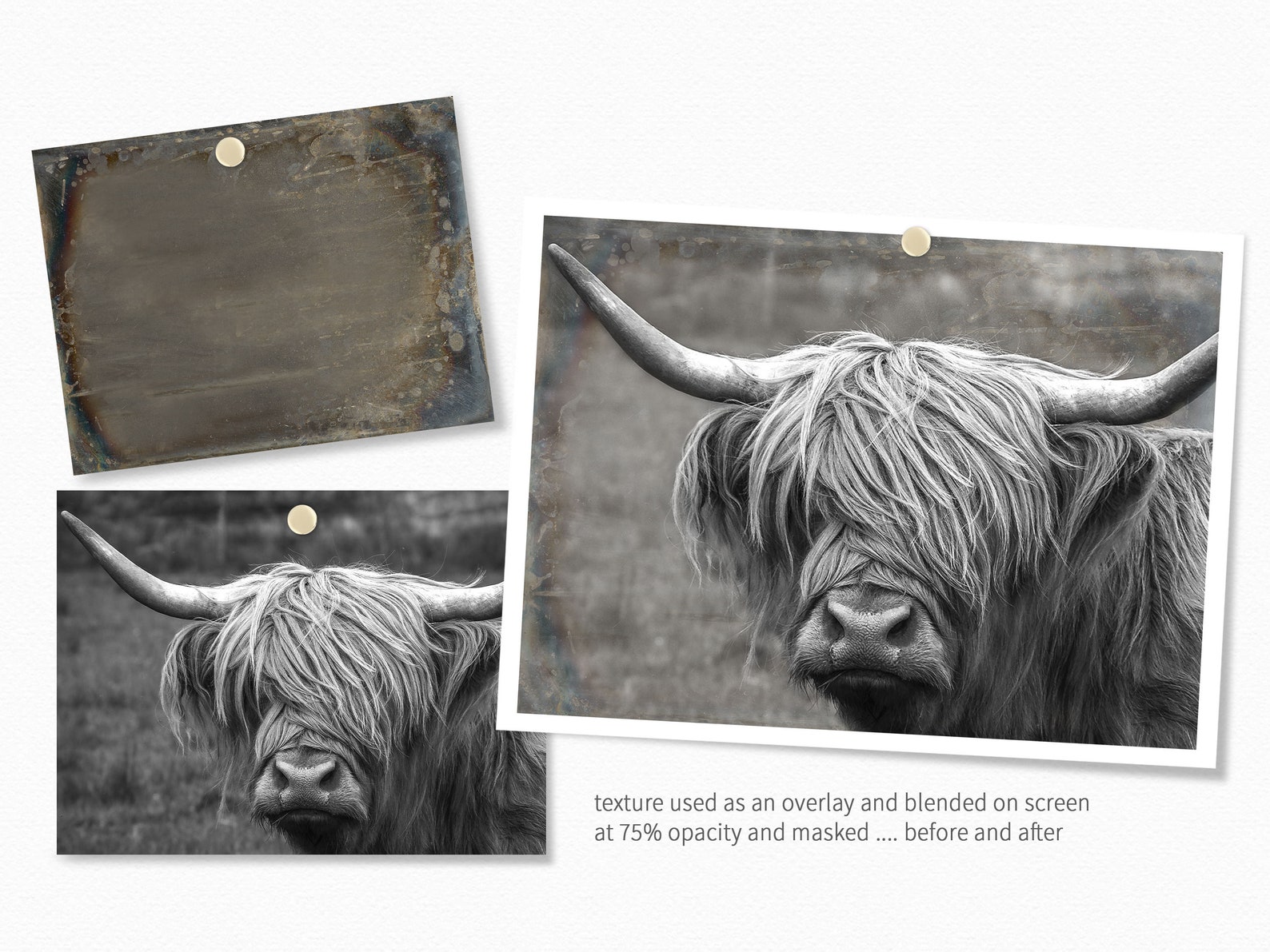 Vintage Tin Type III Textures - Brown Tone Vintage Tin Types ...