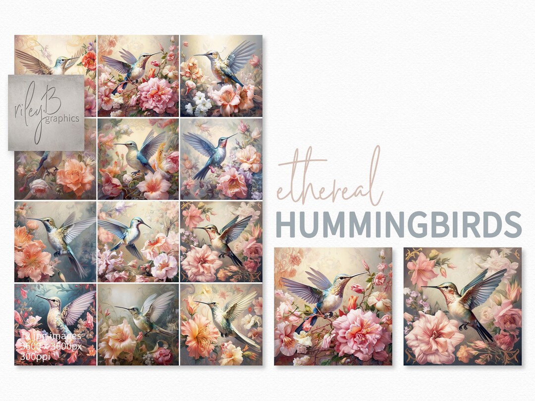 Ethereal Hummingbirds - Digital Hummingbird Jpgs - Hummingbird Clipart ...