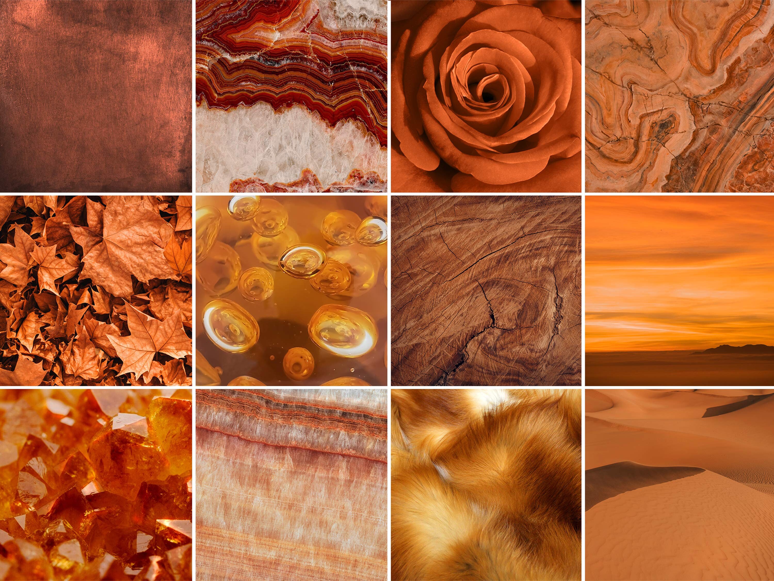 Rust Colors in Nature Rust Digitals Rust Textures Rust - Etsy