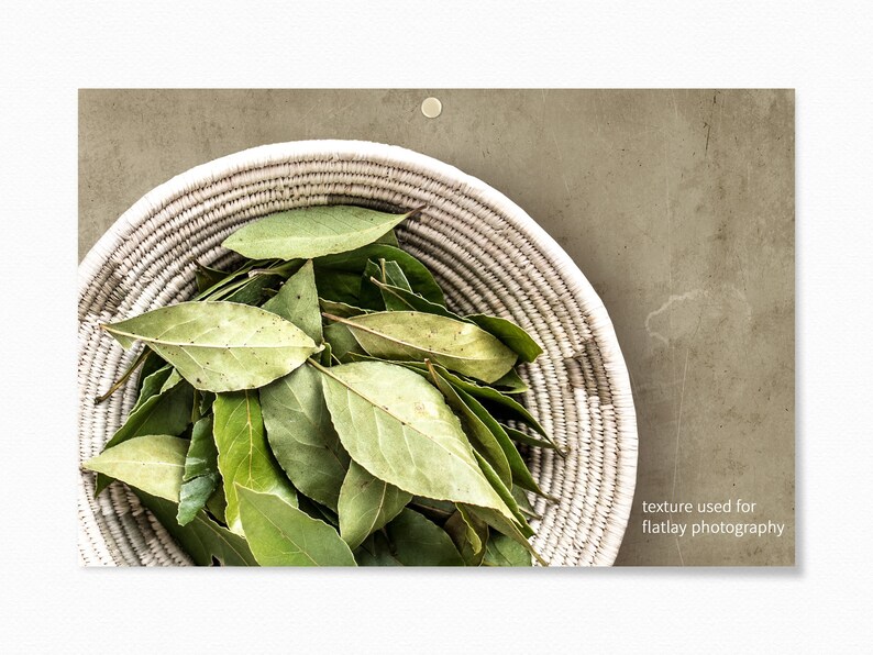 African Earth Textures African Color Palette Earth Tone - Etsy