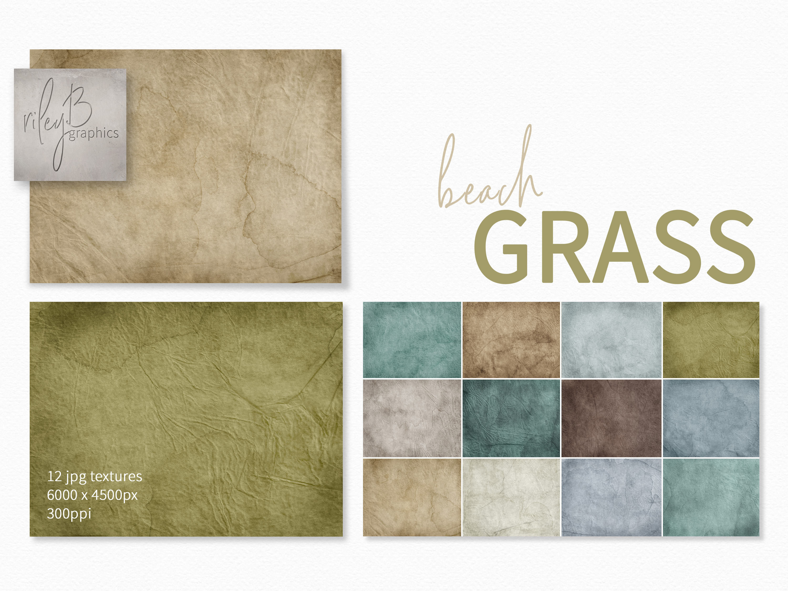Beach Grass Textures Beach Grass Color Palette Fine Art - Etsy