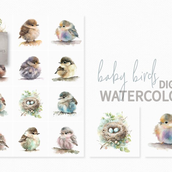 Baby Bird Art - Etsy