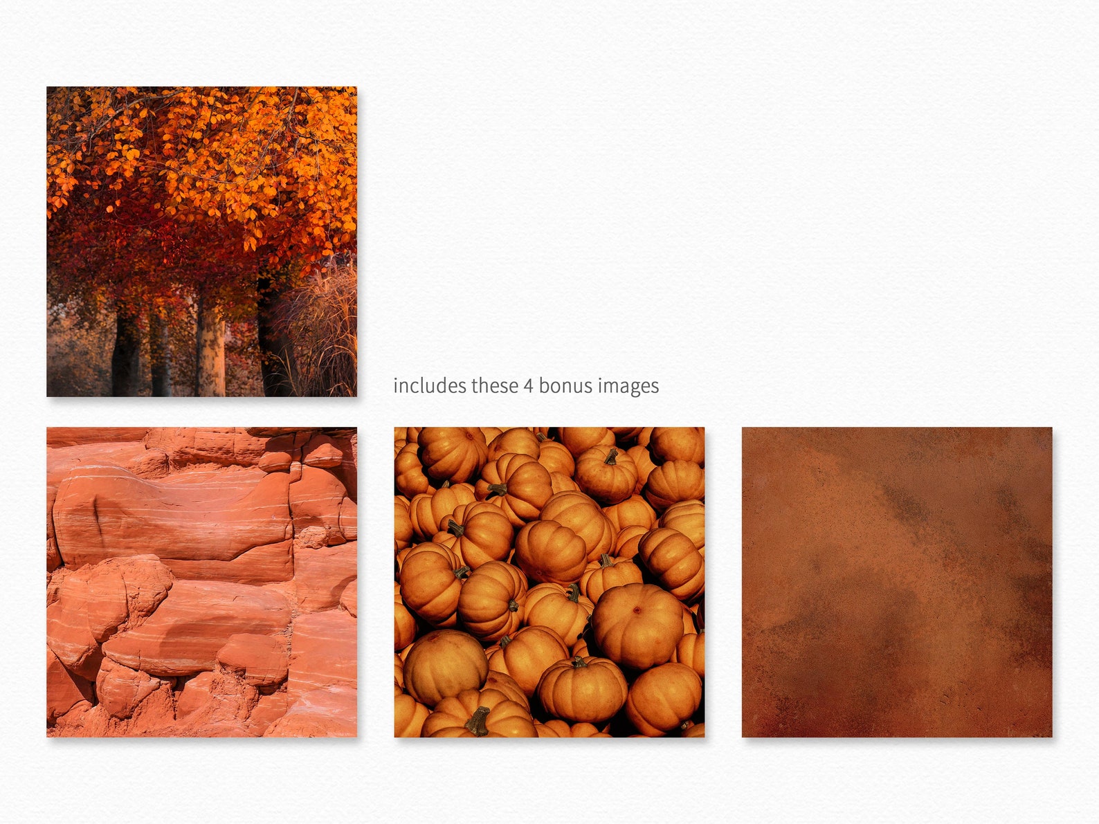 Rust Colors in Nature Rust Digitals Rust Textures Rust Backgrounds ...