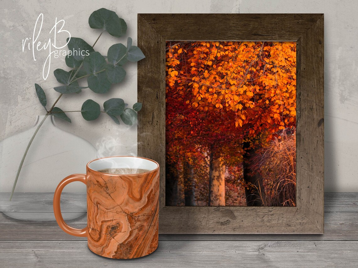 Rust Colors in Nature Rust Digitals Rust Textures Rust - Etsy