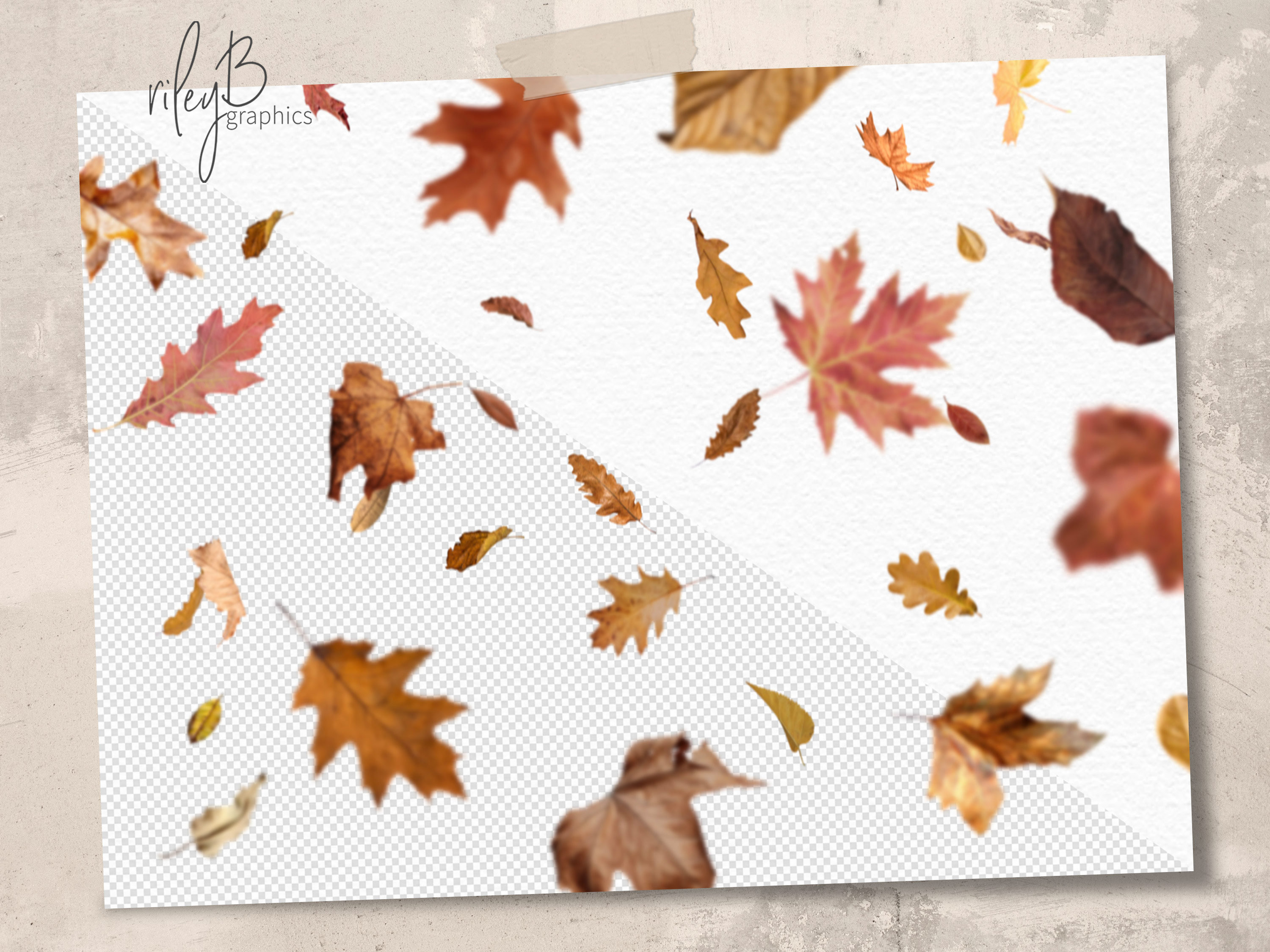 Autumn Leaves Overlays Falling Leaves Photo Overlays - Etsy