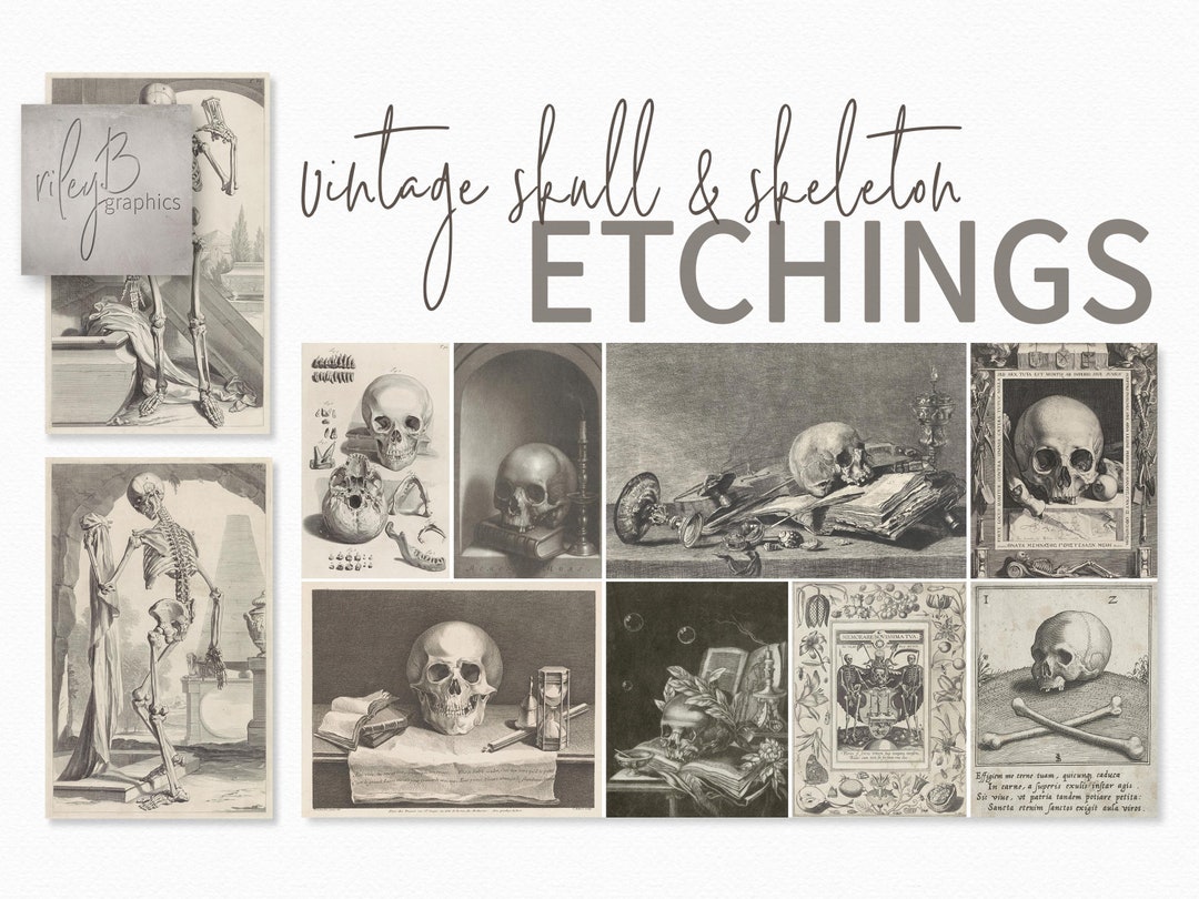 Vintage Skull and Skeleton Etchings Antique Skull Art Vanitas Art ...
