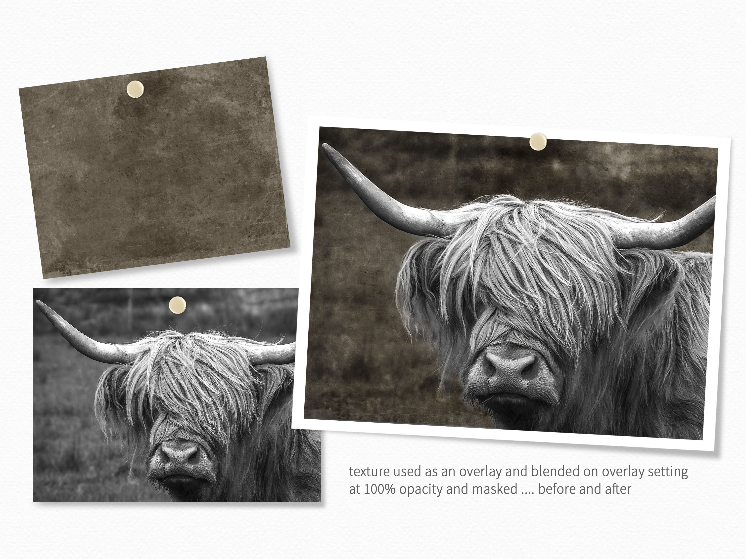 Vintage Japanese Book Covers III Vintage Paper Textures - Etsy