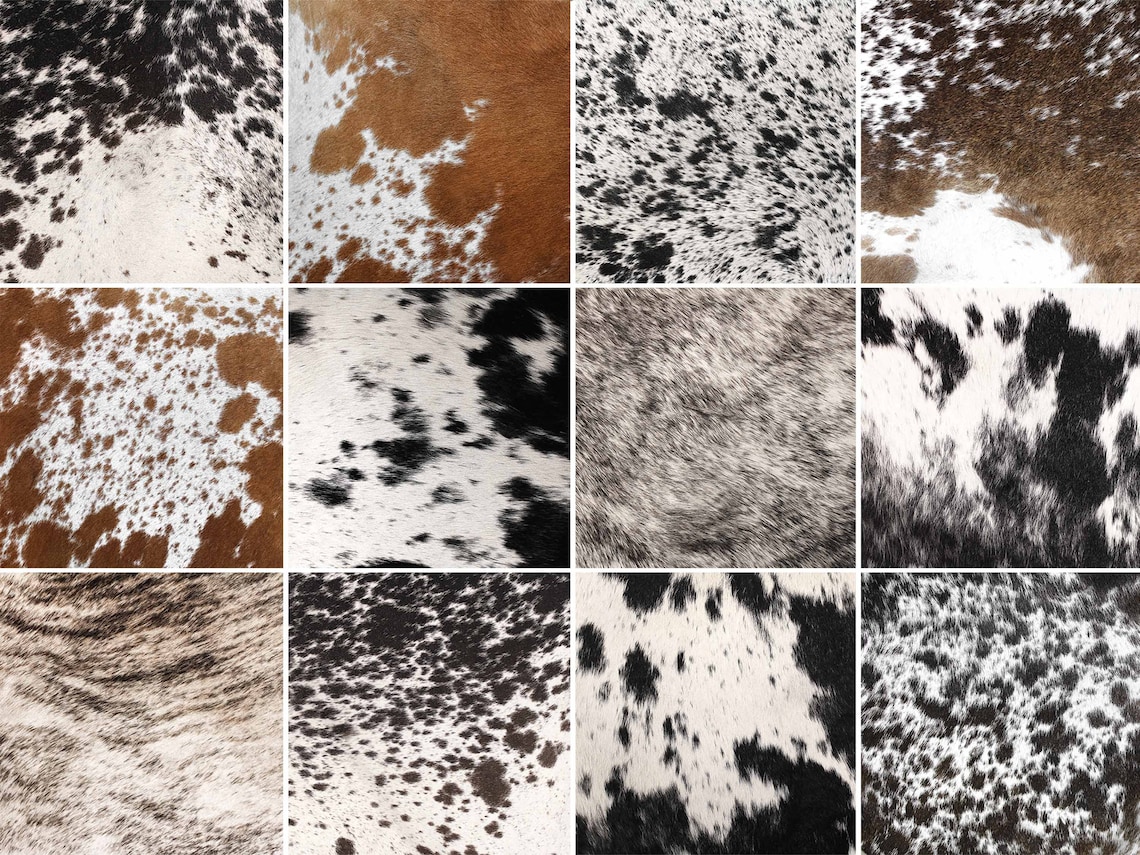 Nguni Hide Textures II Cowhide Backgrounds Brown and White - Etsy