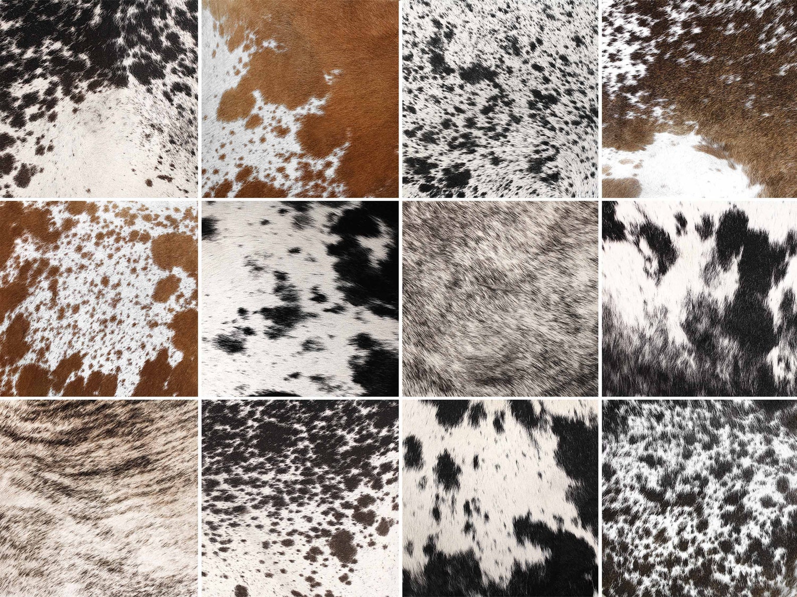 Nguni Hide Textures II - Cowhide Backgrounds - Brown and White Cowhide ...