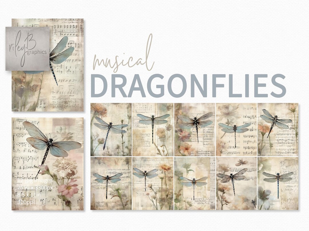 Musical Dragonflies – Botanical Insect Illustrations – Vintage Sheet ...