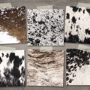 Nguni Hide Textures II Cowhide Backgrounds Brown and White - Etsy