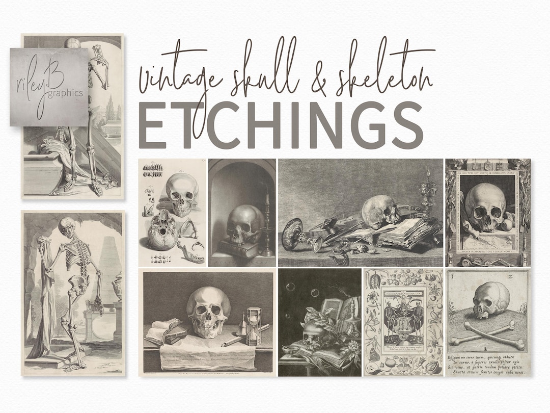Vintage Skull and Skeleton Etchings - Antique Skull Art - Vanitas Art ...