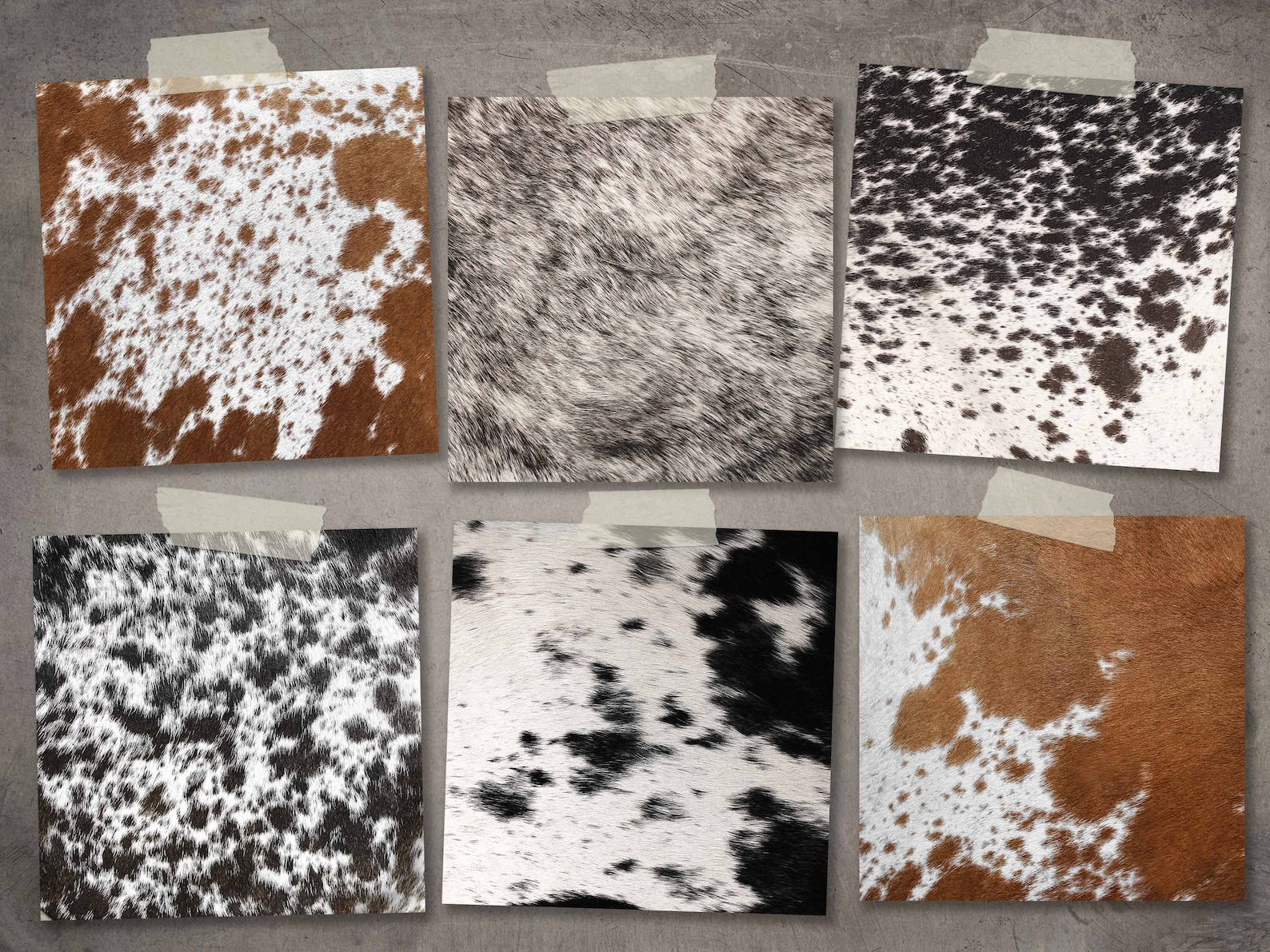 Nguni Hide Textures II Cowhide Backgrounds Brown and White - Etsy