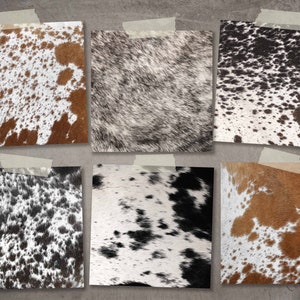 Nguni Hide Textures II Cowhide Backgrounds Brown and White - Etsy