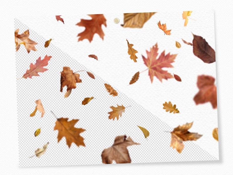 Autumn Leaves Overlays - Falling Leaves - Photo Overlays - Fall ...