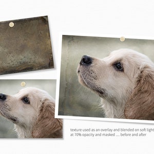 Vintage Tin Type III Textures - Brown Tone Vintage Tin Types ...