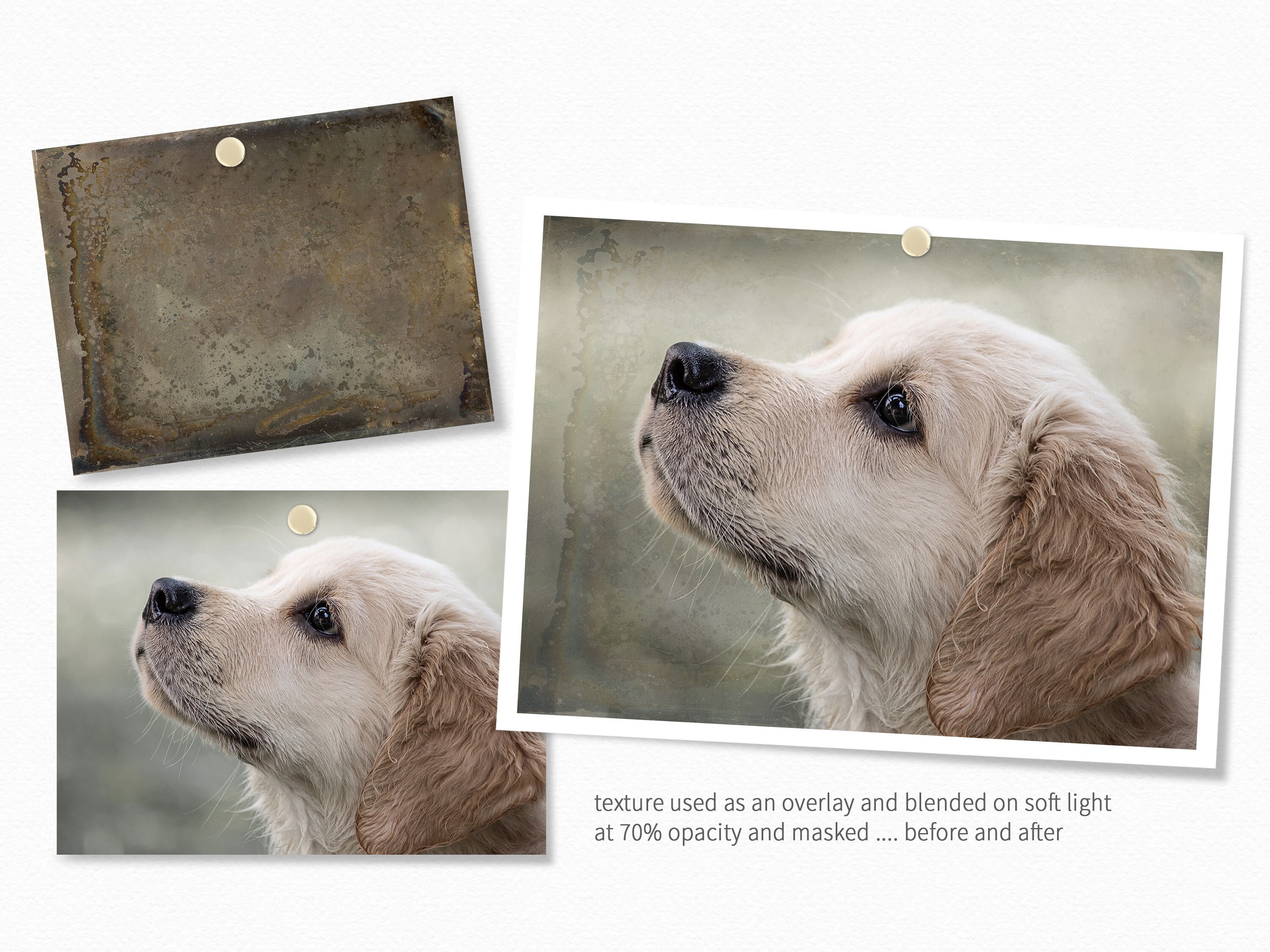 Vintage Tin Type III Textures - Brown Tone Vintage Tin Types ...
