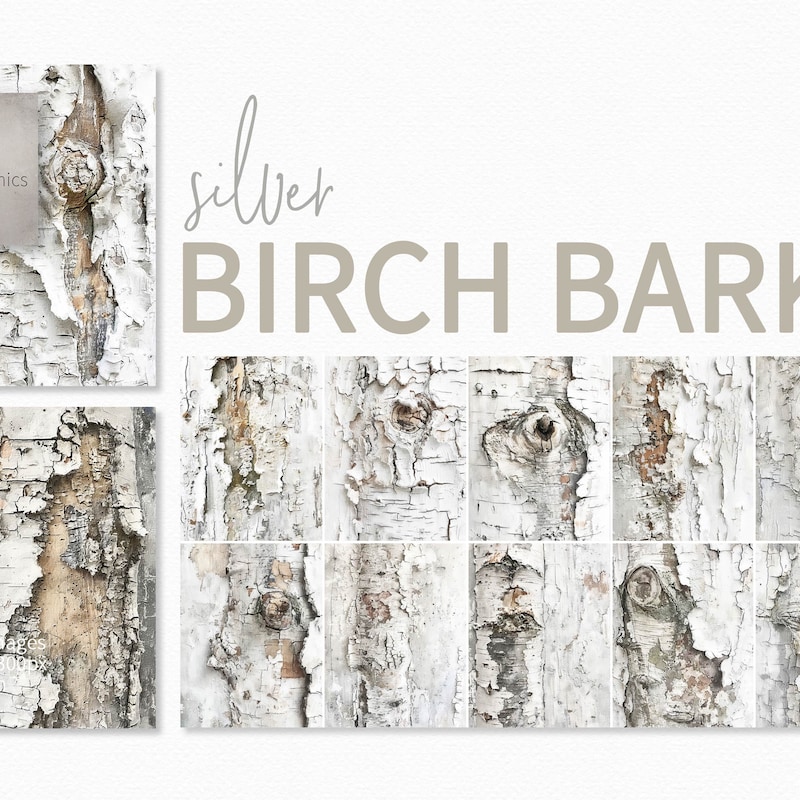 Birch Bark Paper - Etsy