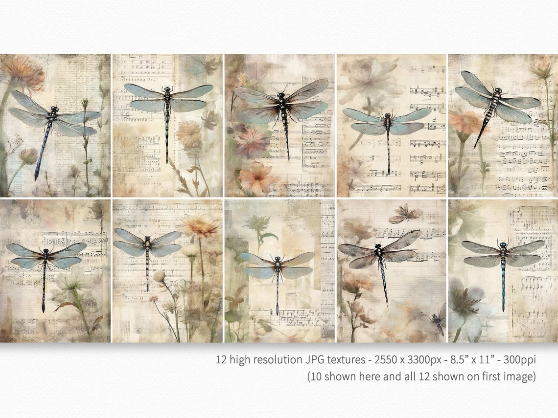 Musical Dragonflies – Botanical Insect Illustrations – Vintage Sheet ...