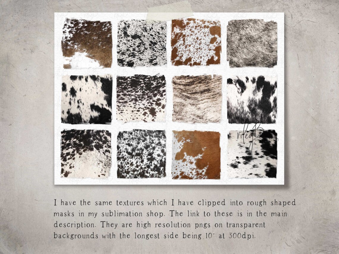 Nguni Hide Textures II - Cowhide Backgrounds - Brown and White Cowhide ...