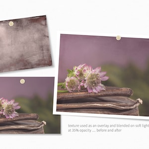 Rum and Raisin Textures - Raisin Colored Background Textures - Burgundy ...