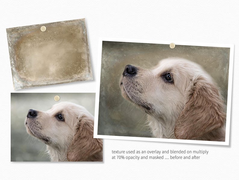 Dusty Heritage - Vintage Tin Type Textures - Brown Tone Tin Types ...