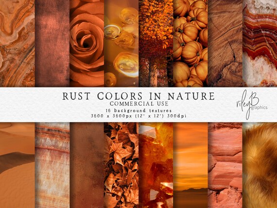 Rust Colors in Nature Rust Digitals Rust Textures Rust - Etsy