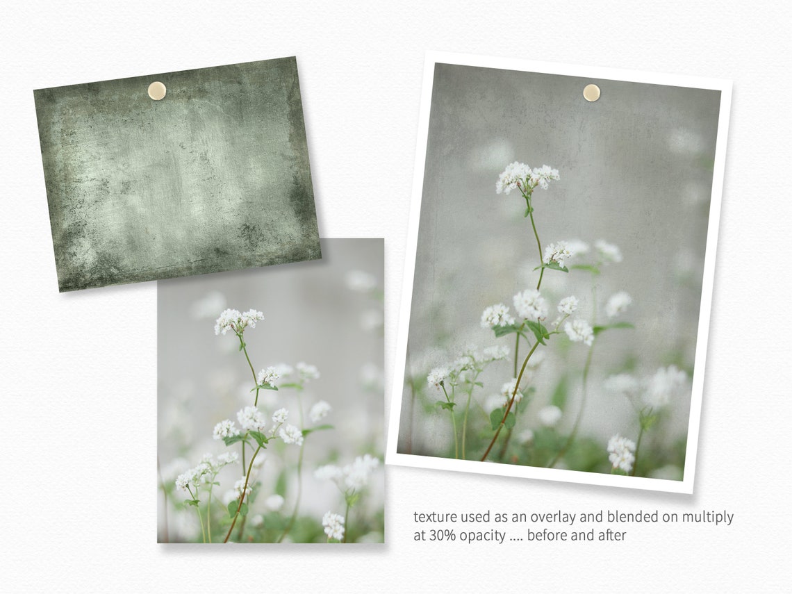 Jungle Mist Textures Texture Backgrounds Blue Green Grey - Etsy