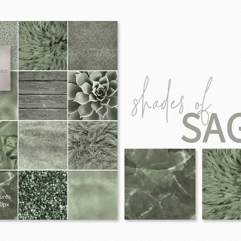 Sage Green Color Palette - Etsy