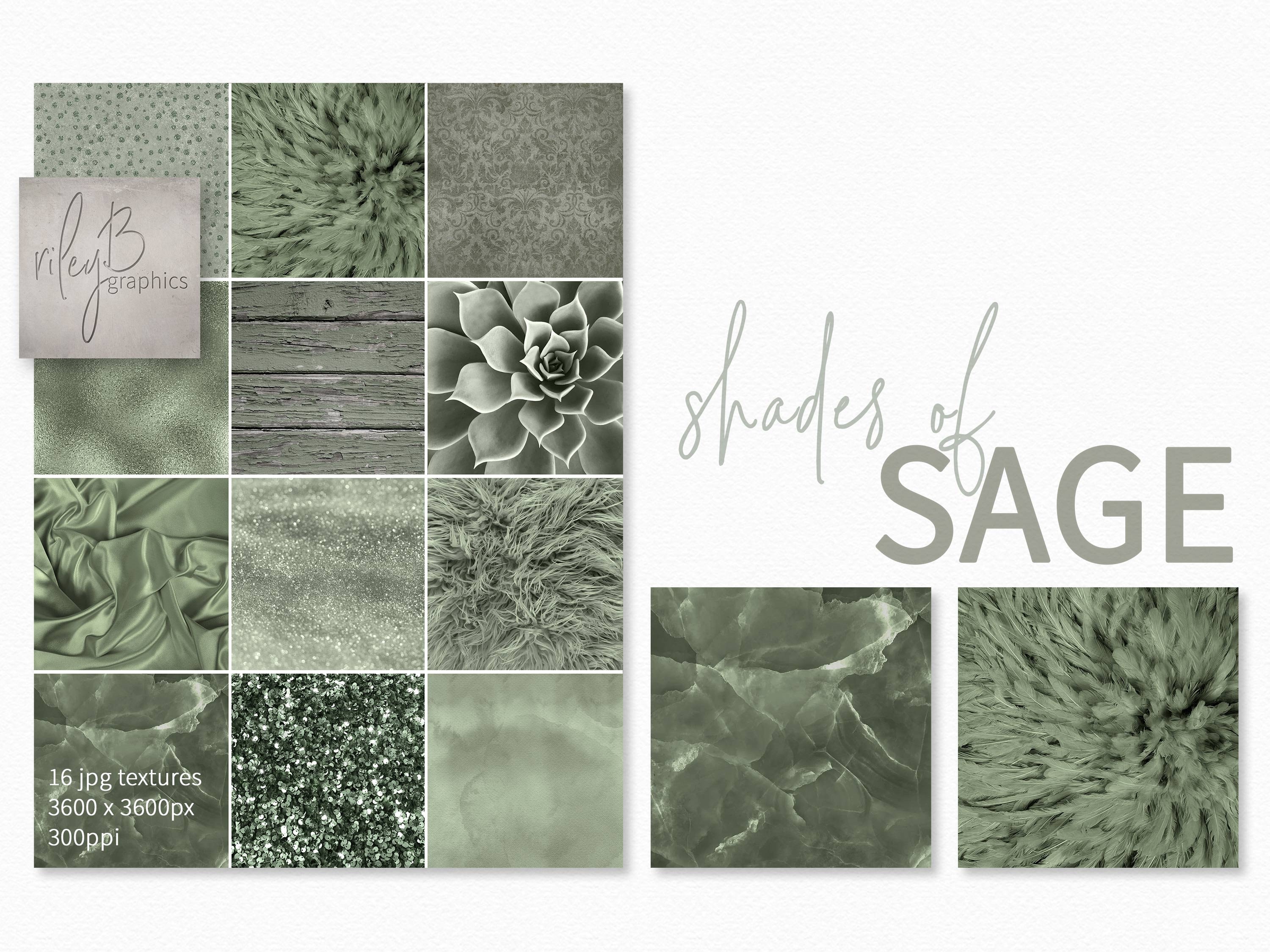 Shades Of Sage Green