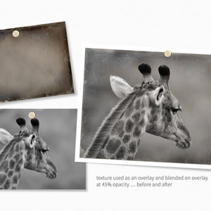 Vintage Tin Type II Textures - Warm Tone Vintage Tin Types ...