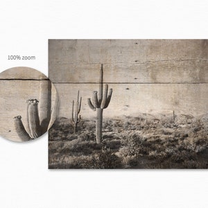 Textures of Texas - Texan Rodeo Images - Texan Longhorn - Texas Star ...