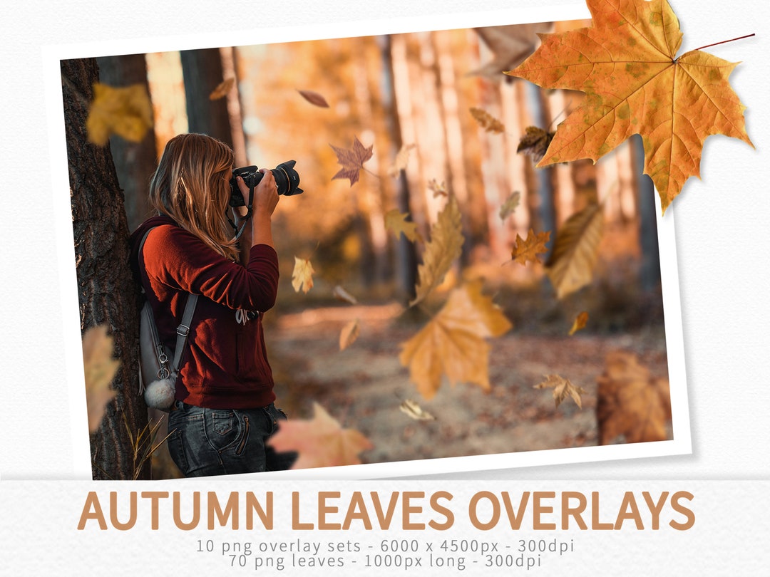 Autumn Leaves Overlays - Falling Leaves - Photo Overlays - Fall ...
