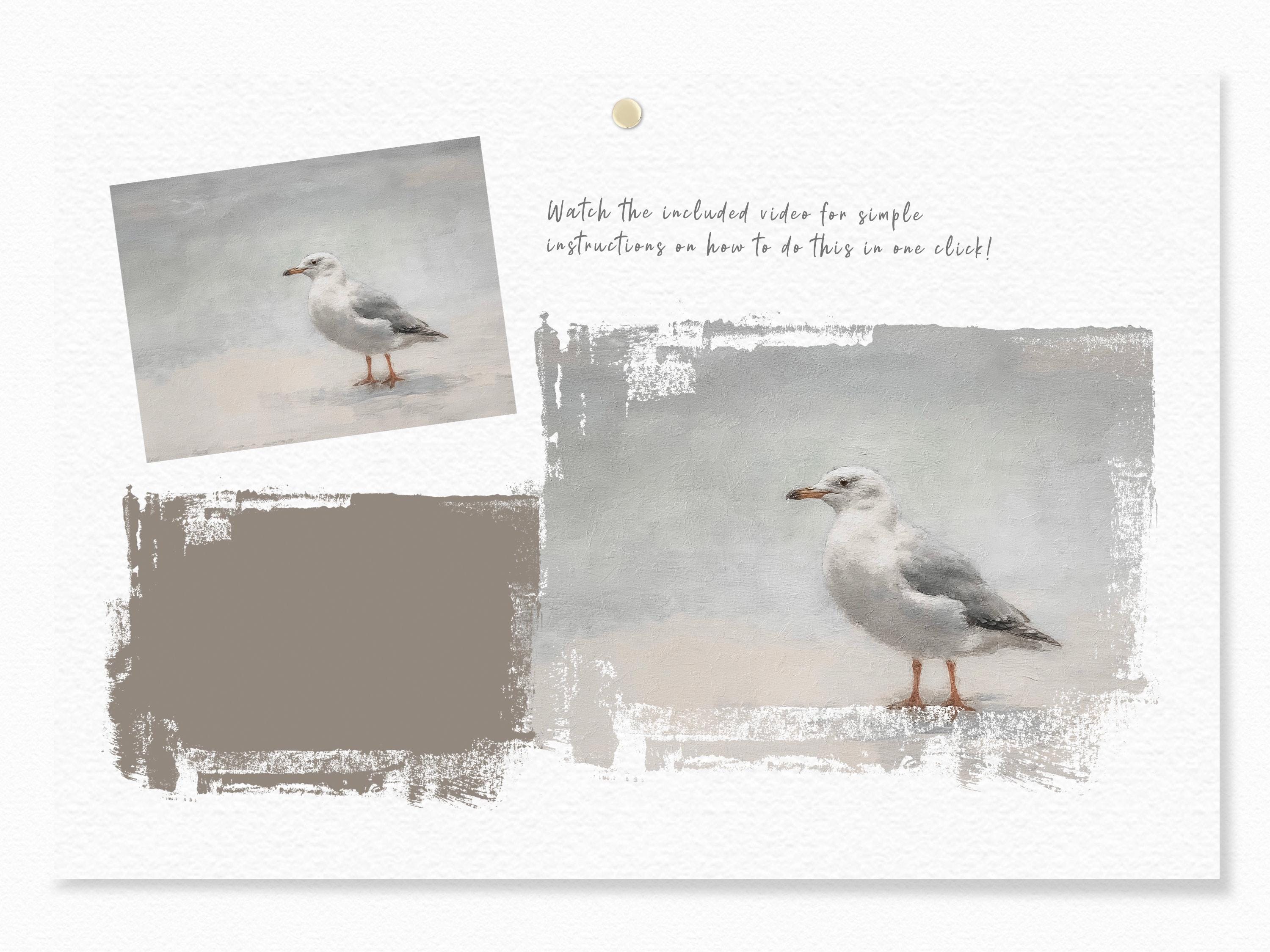 Photo Clipping Masks 4 - Digital Photo Frames - Photo Frame Clipart ...