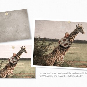 African Earth Textures - African Color Palette - Earth Tone Overlays ...