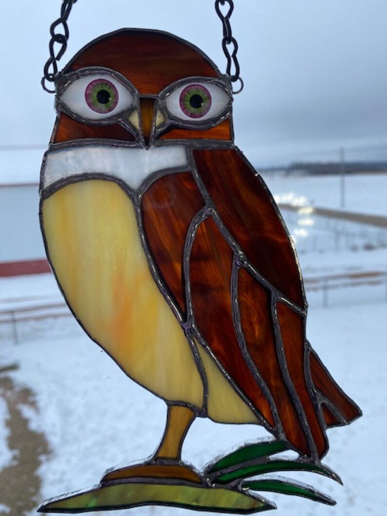 Lovely Stained Glass Burrowing Owl Suncatcher Ready to Steal - Etsy