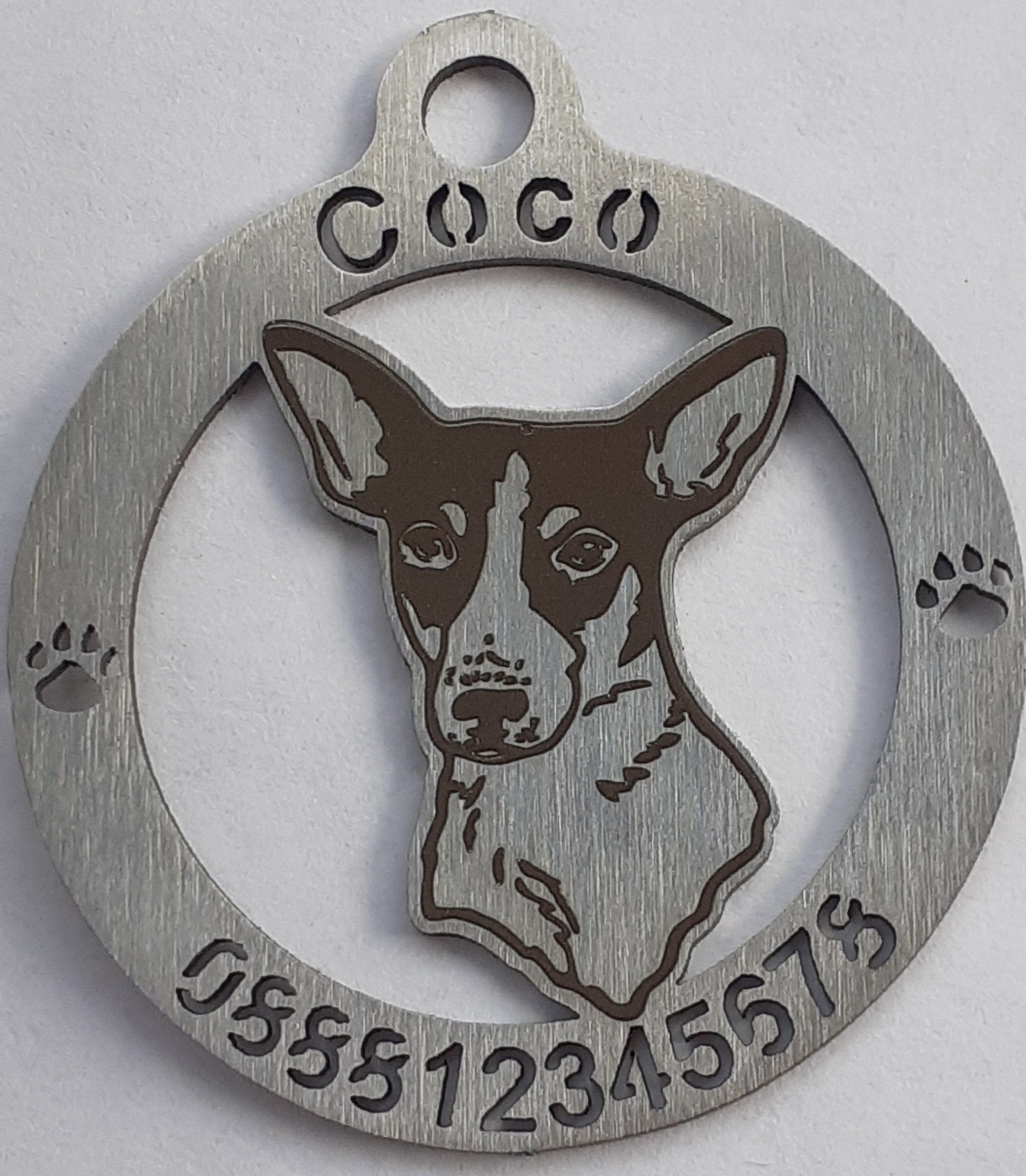 Personalized Custom Dog Tag Medallion for Rat Terrier | Etsy