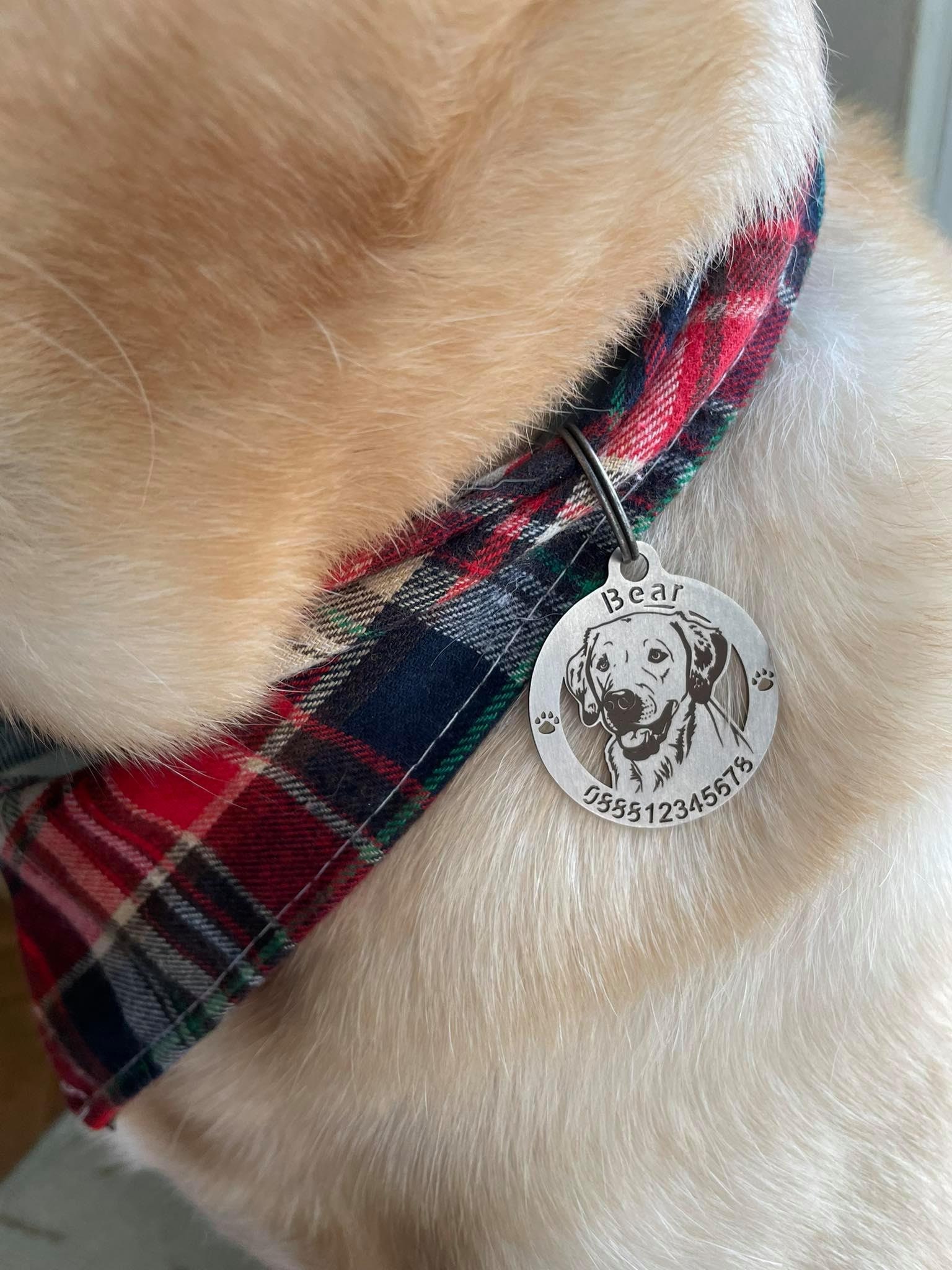 Personalized American Bully Dog Tag: Engraved Stainless Steel Pet ID - Etsy